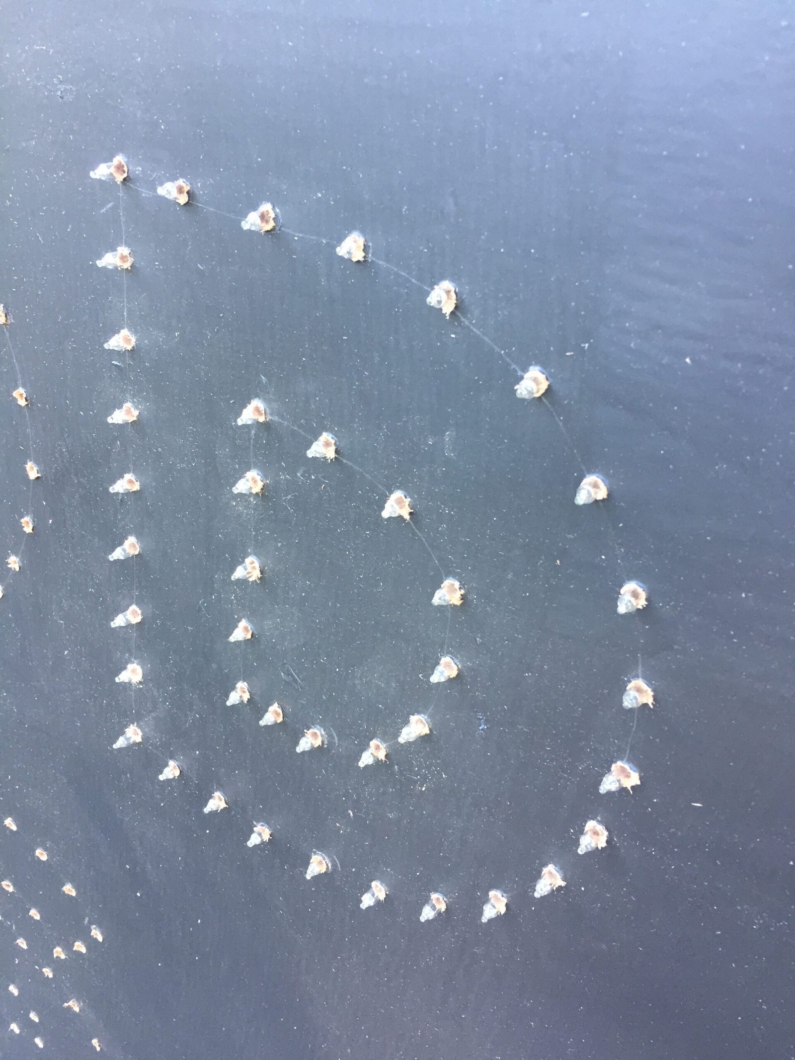 Black Light Puppet Show | Youth Downloads